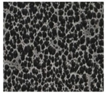 Technical Documents, Resources & Installation Videos | Etalex